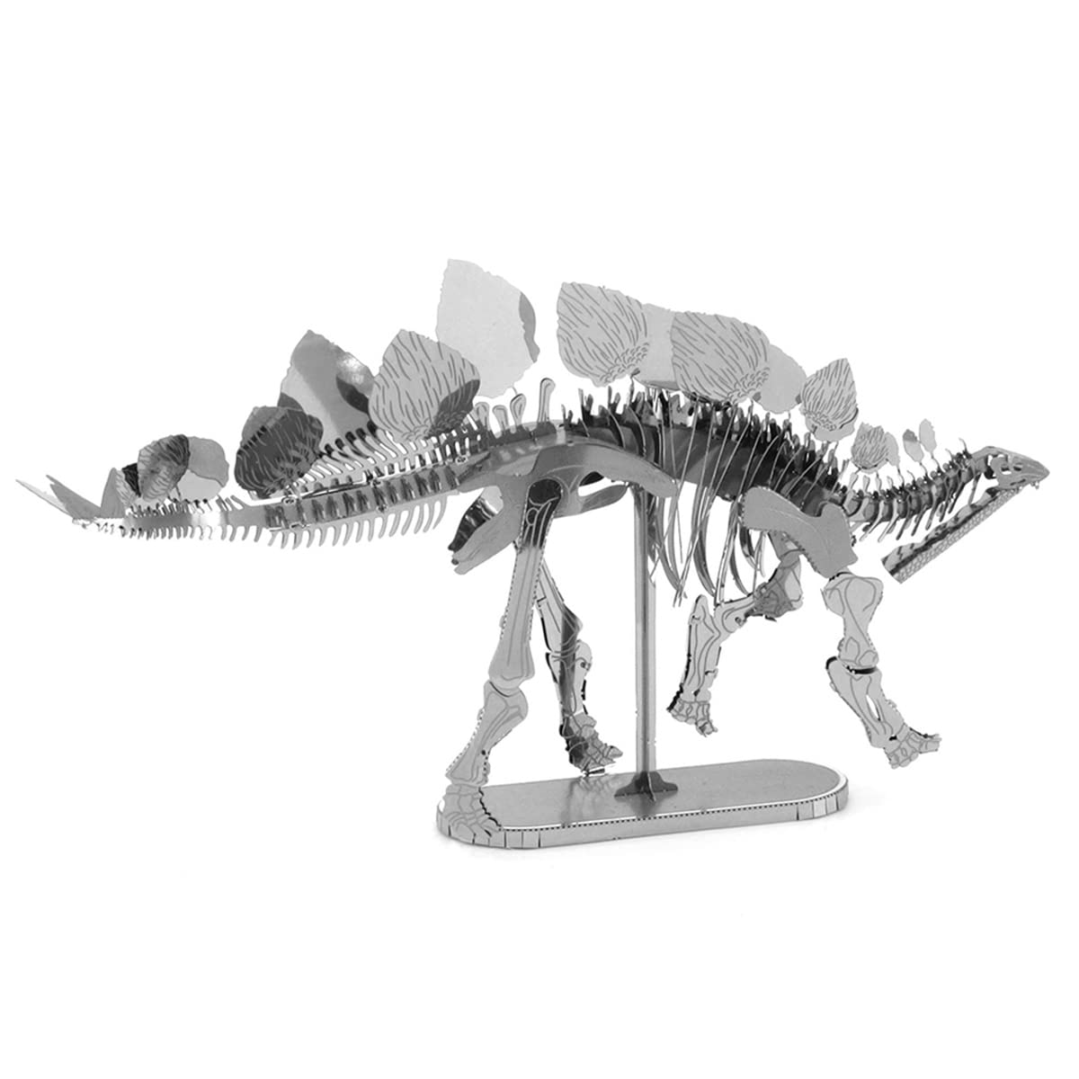 Stegosaurus Skeleton 3D Metal Model Kit by Fascinations – Town Creek ...